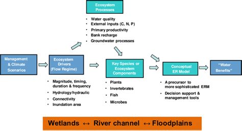 Conceptual Representation Of Ecological Components That Can Be