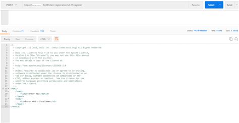 register rest client in wso2 api manager issue stack overflow