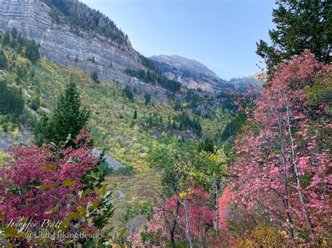 Mount Timpanogos From Timpooneke Trailhead Utah Hiking Beauty