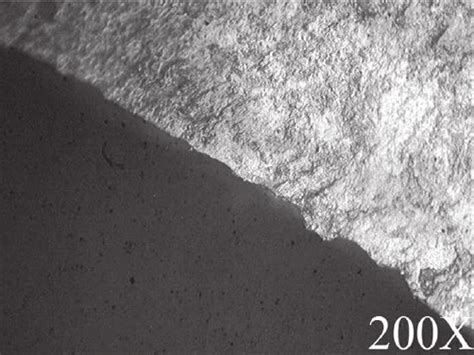 Photomicrograph Of A Thin Edged Chert Flake Used To Cut Meat Fresh Hide Download Scientific