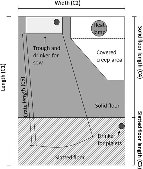 Layout Of Pen With Farrowing Crate In Herds A B And C Dimensions
