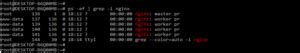 Nginx User How To Change Nginx User How To Add Nginx User