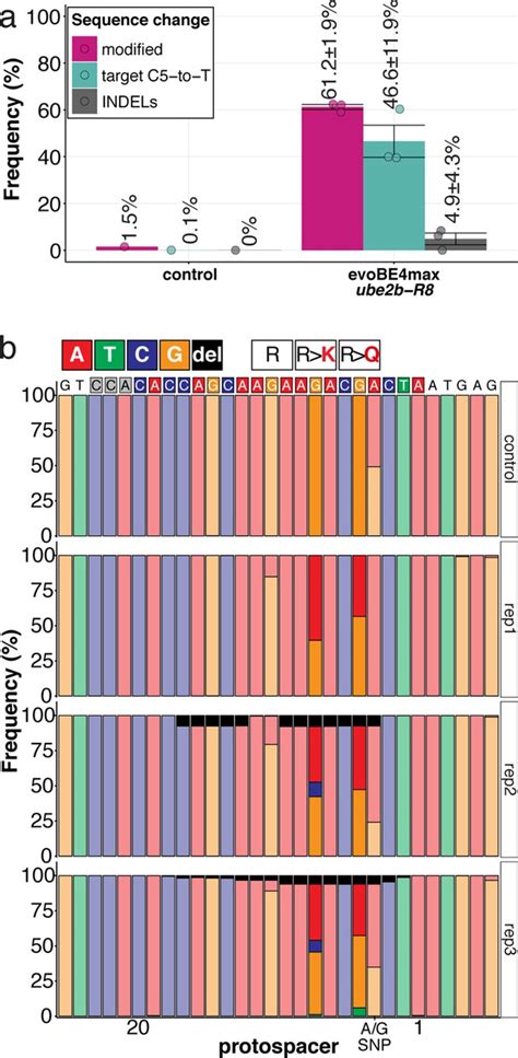 Figures And Data In Precise In Vivo Functional Analysis Of Dna Variants