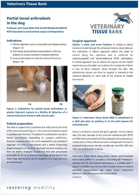 Allografts For Vet Professionals