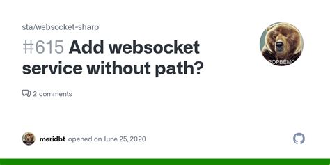 Add Websocket Service Without Path · Issue 615 · Stawebsocket Sharp