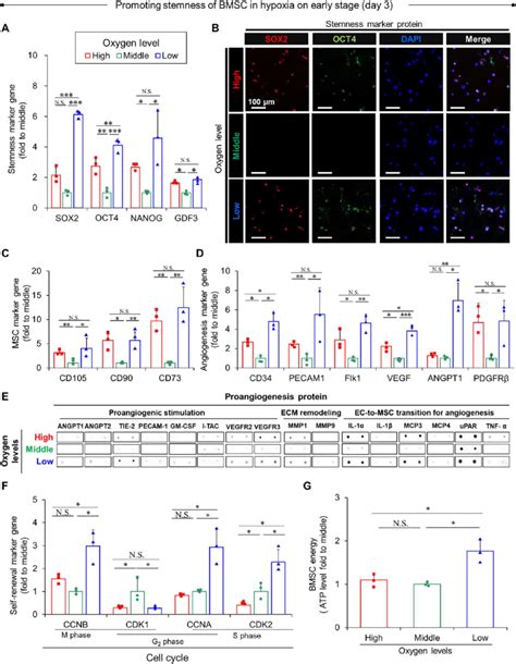 Hypoxia In O 2 Variant Chip As A Key Factor To Promote Stemness Of