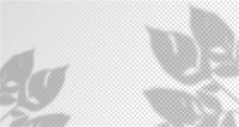 Leaf Shadow Overlay Vector Art Icons And Graphics For Free Download
