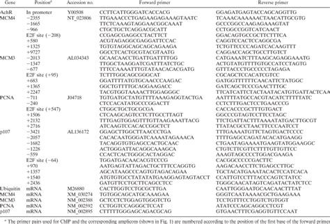 Nucleotide Sequences Of The Pcr Primers Used In This Study Download Table