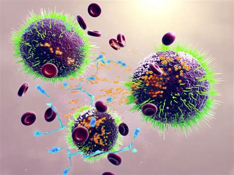 血癌骨髓移植后复发 血癌 白血病 肿瘤疾病大全癌症肿瘤科普知识 有来医生