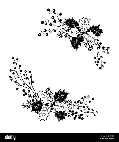 Juniper Twigs Stock Vector Images Alamy