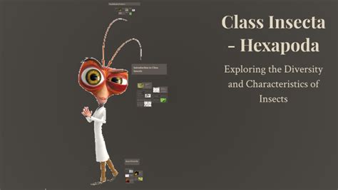 Class Insecta Hexapoda By Yll Ahmeti On Prezi