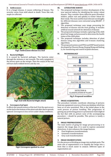 Disease Detection In Plant Leaves Using K Means Clustering And Neural Network Pdf