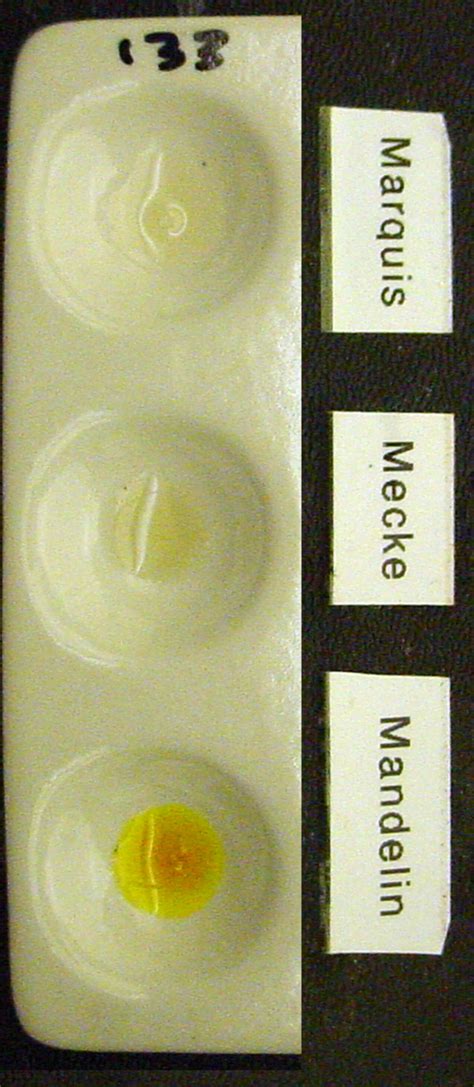 Was Ecstasydata Test Details Result 3447