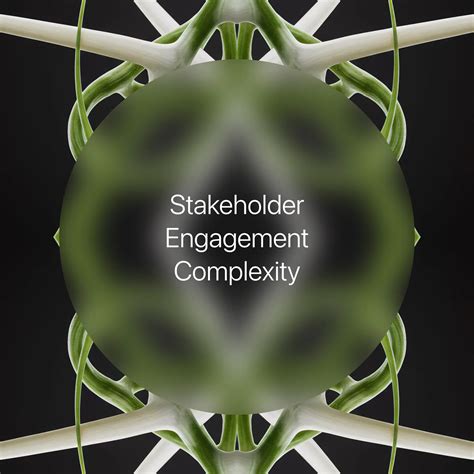 Stakeholder Engagement Complexity → Term