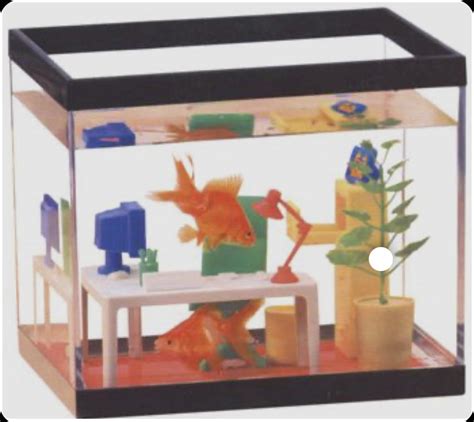 Does Anyone Know Where To Get One Rmarimo