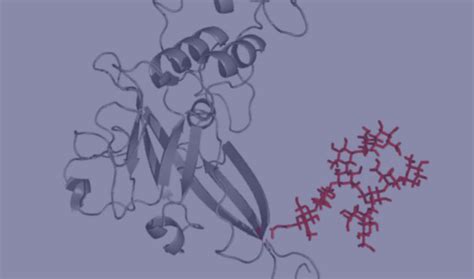 Top Multilevel Biofunctional Analytics Nagoya City University Yagi Lab