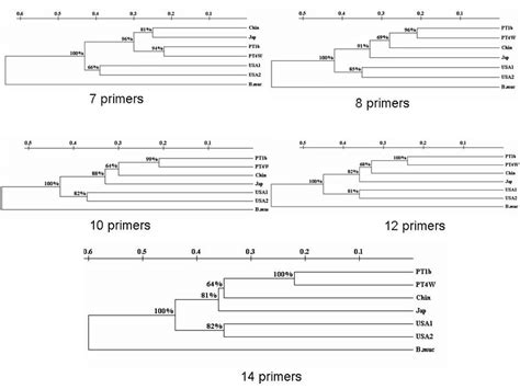 Dendrogramas Obtidos Para 7 Populações Variando O Nº De Primers