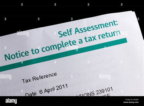 Tax Return Vs Notice Of Assessment At Lisa Travis Blog