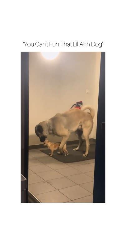 Bluetooth Sex Youtube