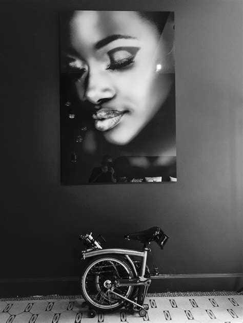 Pin Van 도연 김 Op 브롬톤