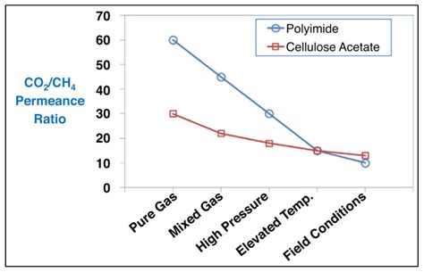 Polymers Free Full Text Co2 Plasticization Resistance Membrane For