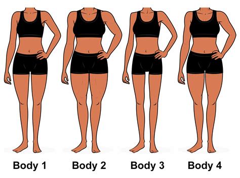 Survey Results The Most Attractive Female Body Composition Muscle