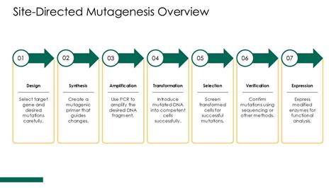 Top 10 Mutagenesis And Genetic Toxicology Powerpoint Presentation