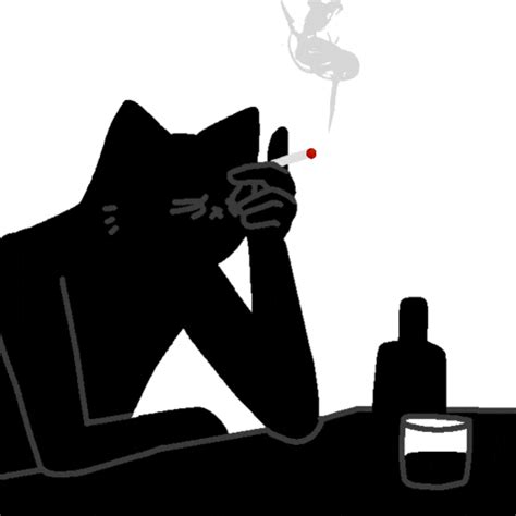 Nub Cat Silly Cat  Nub Cat Nub Silly Cat Discover And Share S
