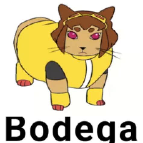 Kit Bodega