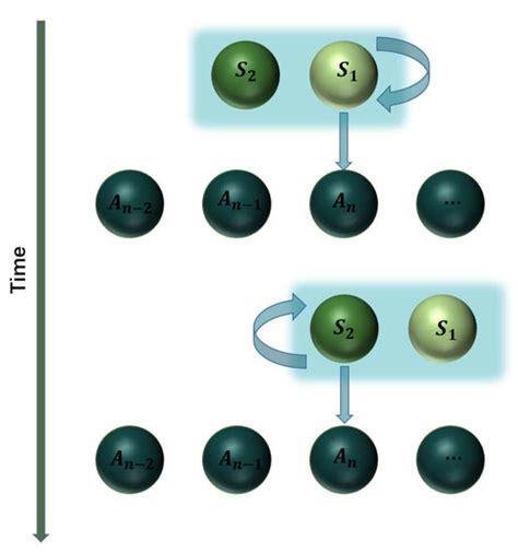 Entropy Special Issue Quantum Collision Models