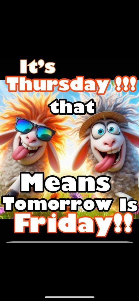 Good Morning Thursday Funny