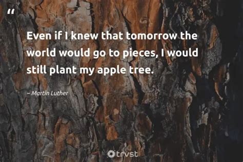 43 Tree Planting Quotes To Inspire You To Grow A Forest