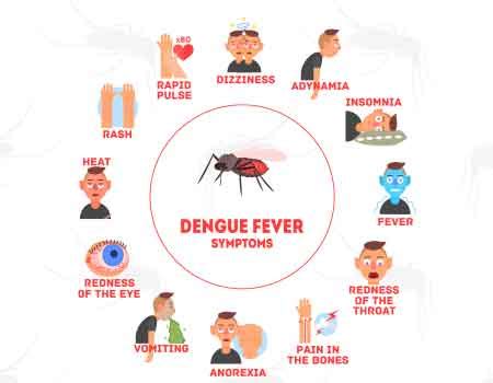 Complete Guide To Dengue Fever Understanding Treatment And Prevention