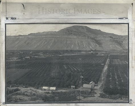 Fruit Orchards In Colorado 1937 Vintage Press Photo Print Historic Images
