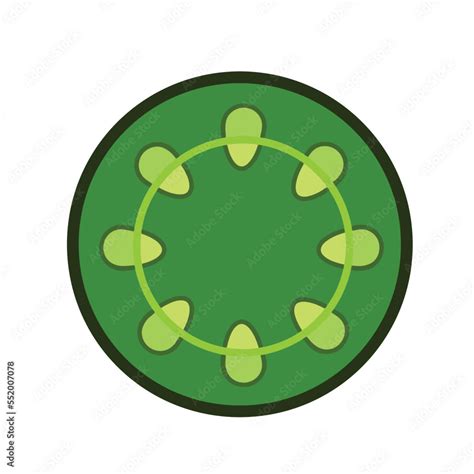 Green Dicotyl Stem Vector Ilustration Isolated On White Background