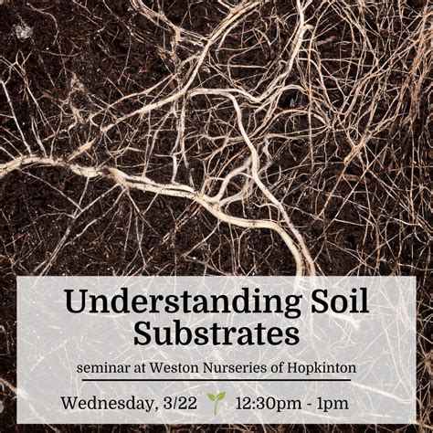 Understanding Soil Substrates Hopkinton Weston Nurseries