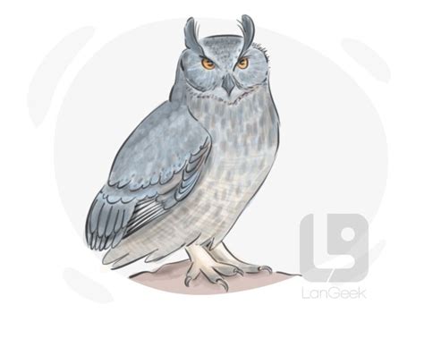 Definition And Meaning Of Eagle Owl In English Picture Dictionary