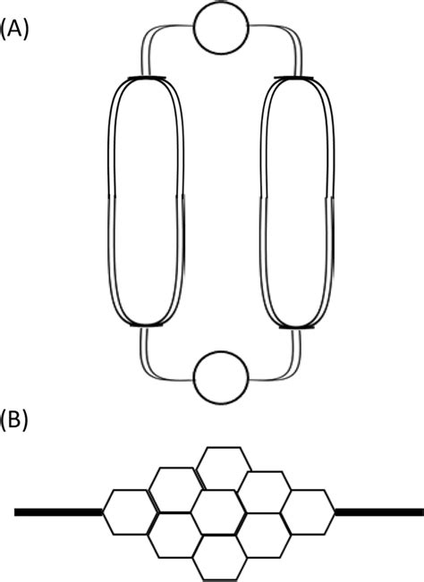 The Use Of Microfluidic Devices To Apply Fss To Culture Ecs A The Use
