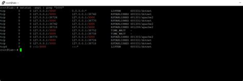 Running Blazor Server Web App On Linux And Apache Matrixpost Net