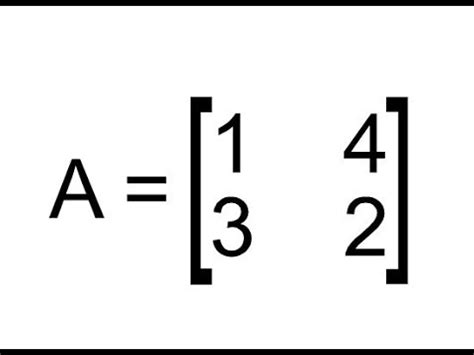 An Introduction to Matrices | Order of a Matrix | Examples and Explanation - YouTube