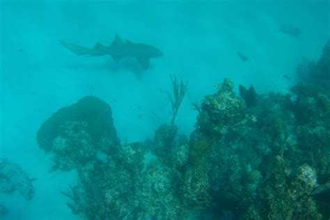 Yacht Zen Again Nassua Area To Eleuthera