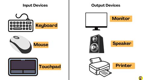 Class 8 Chapter 5 Computer Hardware And Software Complete Note Bishal Rijal