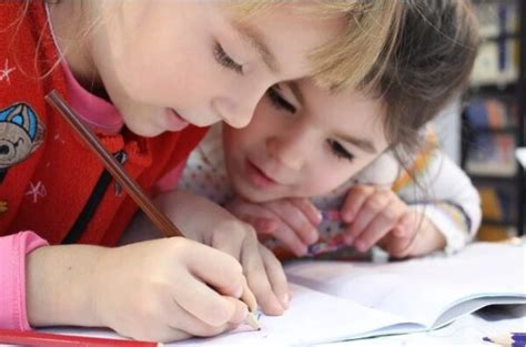 7 Ejemplos De Adecuaciones Curriculares ¿cómo Se Clasifican