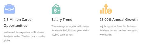 Business Analyst Masters Program Option 2