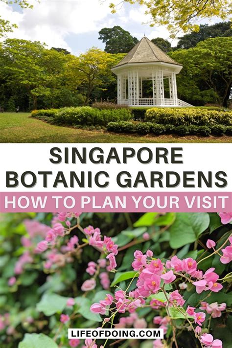 Singapore Botanic Gardens Guide Plan Your Visit Insider Tips Artofit
