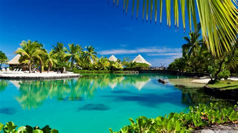 High Definition Tropical Wallpapers 63 Images