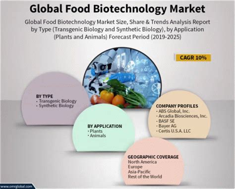 Application Of Biotechnology In Food Industry