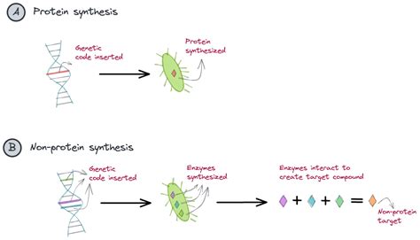 Challenges And Opportunities In Scaling Precision Fermentation