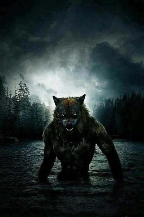 Werewolf Art Fotos De Lobo Criaturas Mitológicas Criaturas Fantásticas