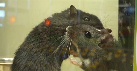 I Was At Petsmart And Taking Pictures Of The Animals When They Started